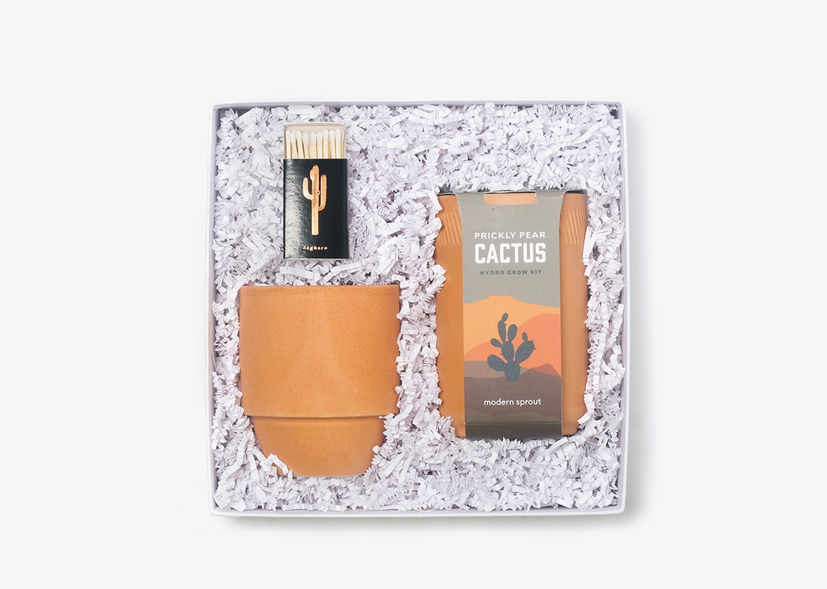 Fountain Gifts Desert Oasis Gift Box | Giftagram